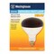Westinghouse Westinghouse 250 W R40 Reflector/Heat Lamp Incandescent ...