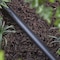 Raindrip Polyethylene Drip Irrigation Tubing .710 in. D X 500 ft. L ...