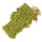 Mosser Lee Organic Green Sheet Moss 325 sq in ML0460 | Zoro