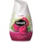 Renuzit Adjustables Air Freshener, Forever Raspberry, 7 oz Solid, PK12 ...