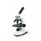 My First Lab MFL-06 $95.70 Microscope, My First Lab Duo Scope | Zoro.com