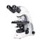 Motic Instruments Usa Panthera C2 Binocular Compound Upright Microscope ...