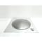 Fike 38C 689KPA 20IN RUPTURE DISC POLY-SD BT CS | Zoro