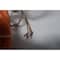 Interroll 363Mm 80Mm 3Ph 012Kw 276460VAc Motorized Conveyor Roller 80I ...