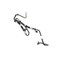 Mopar POWER STEERING PRESSURE HOSE 52124656AH | Zoro
