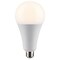 Satco Ultra Bright Utility Lamp, 36W, PS30 LED, Dimmable, White, E26 ...
