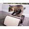 Smartykat Scratch Scroll Curred Cat Scratcher 10076-94995-002 | Zoro
