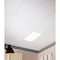Armstrong Clean Room Ceiling Tile, 24 in W x 48 in L, Square Lay-In, 15 ...