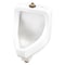 Gerber Urinal, Washout Type, 18-1/2" H, 13-3/8" W GHE27740 | Zoro