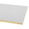 Armstrong Shasta Ceiling Tile, 24 in W x 48 in L, Square Lay-In, 15/16 ...