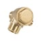 Speedaire Check Valve, 1/4 NPT J0183010205 | Zoro