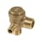 Speedaire Check Valve, 1/4 NPT J0186100290 | Zoro