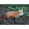 Bird-X Fox, 3-D, 2 lb., Poly Rubber FOX-3D | Zoro