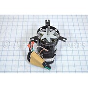 Blower Motors & Parts | Zoro