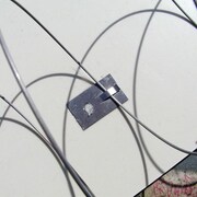 Bird Barrier Bird Repellent Coils, Bird-Coil, 25 ft. CO-CG40 | Zoro