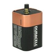 Duracell CopperTop Alkaline Battery MN908 | Zoro