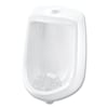 Big D Diamond 3D Urinal Screen, Melon Mist, Clear, PK60 062100 | Zoro