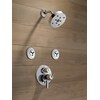 Delta Delta Univ Shw Cmpnts H2O Raincan Sgl RP70175-SS20 | Zoro