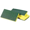 3M Scrubber Sponge, 6" L, 3-5/8" W, PK20 74 | Zoro