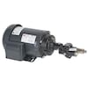 Dayton Rotary Pump, 3Phase, 125psi, Cst Iron, 1HP 41TK13 | Zoro.com