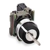 Schneider Electric Non-Illum Selectr Switch, Keyed, B600/Q600 XB4BG33 ...