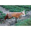 Bird-X Fox, 3-D, 2 lb., Poly Rubber FOX-3D | Zoro